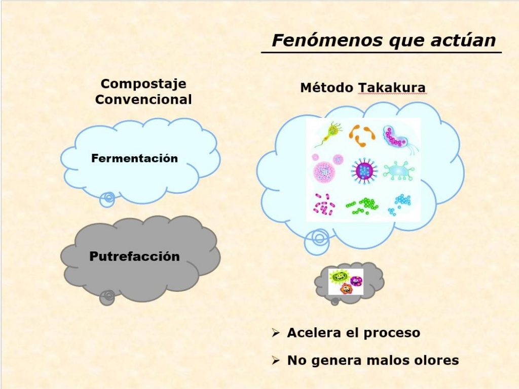 Takakura. El compostaje al alcance de todos - Fundación Instituto de ...